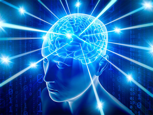 Four Ayurvedic Herbs to Enhance Brain Power Naturally Four Ayurvedic Herbs to Enhance Brain Power Naturally